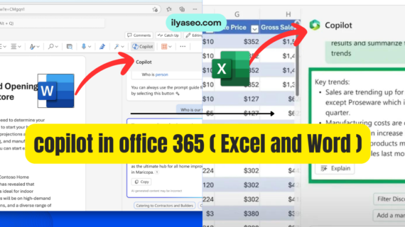 How to enable microsoft copilot in office 365 ( Excel and Word )